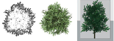 Graphisoft Green Line: Bäume und Pflanzen für ARCHICAD | Schnitzer&